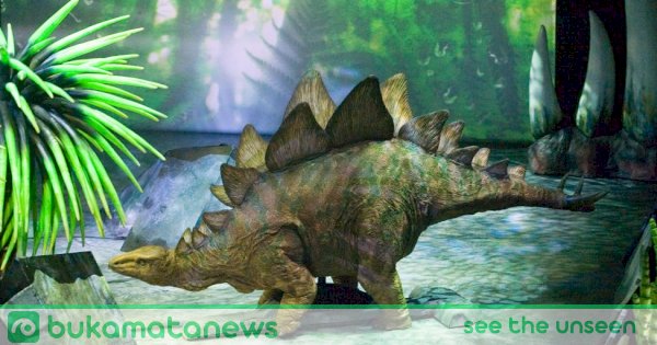 Spesies Baru dan Tertua Stegosaurus Ditemukan di Asia