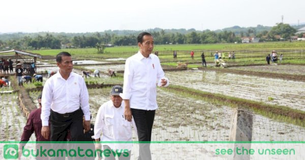 Ketersediaan Pupuk Masa Tanam I Cukup, Tambahan Rp14 Triliun Akan ...