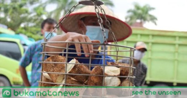 RI Banjir Singkong Impor, Mentan Surati Menko Bahas Pembatasan